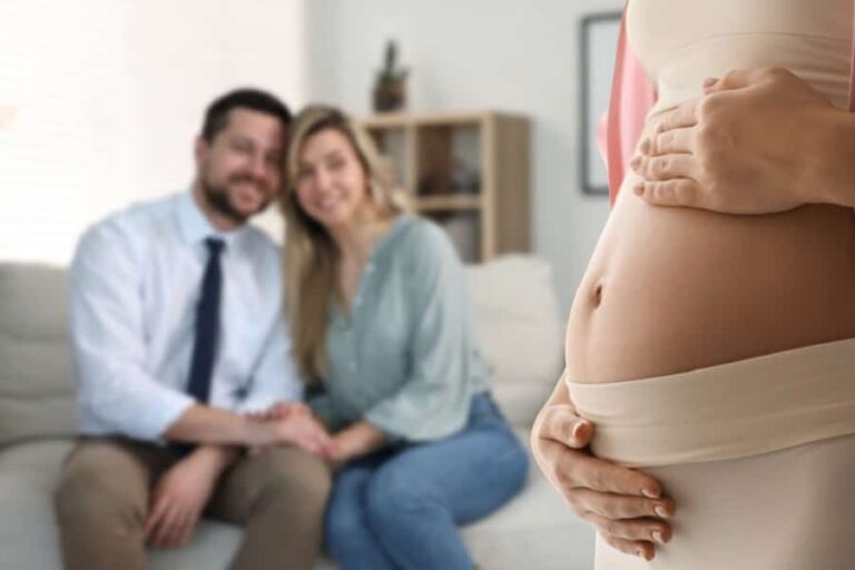 Surrogacy reform won't go ahead as government focus on other "key ...